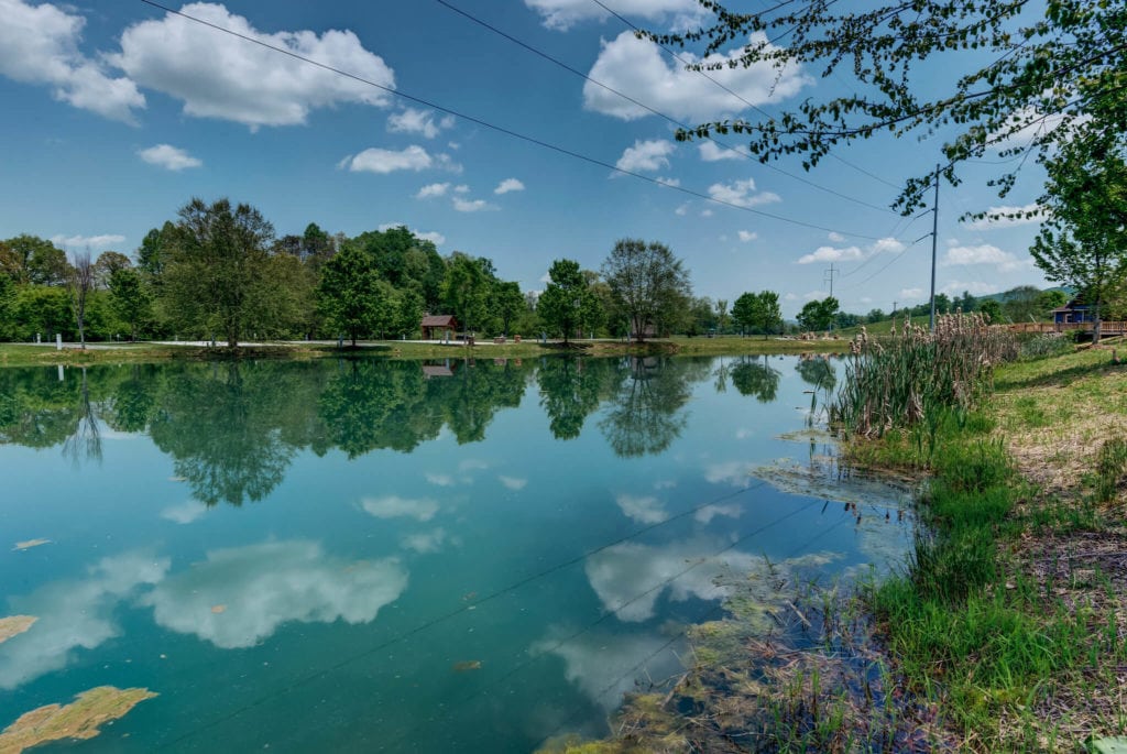 4 Benefits of Staying in the Premium Sites at Our RV Park in Blue Ridge GA